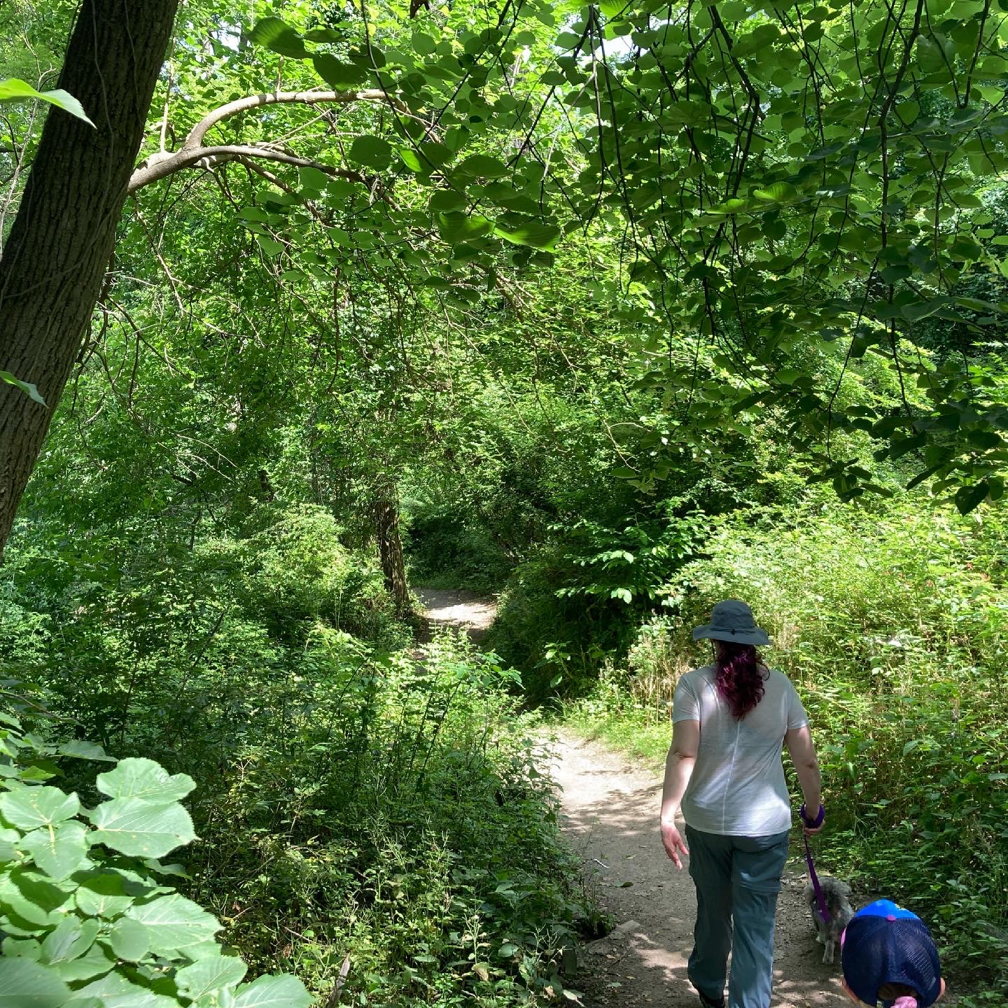 Hiking Review: The Cornish Estate Trail