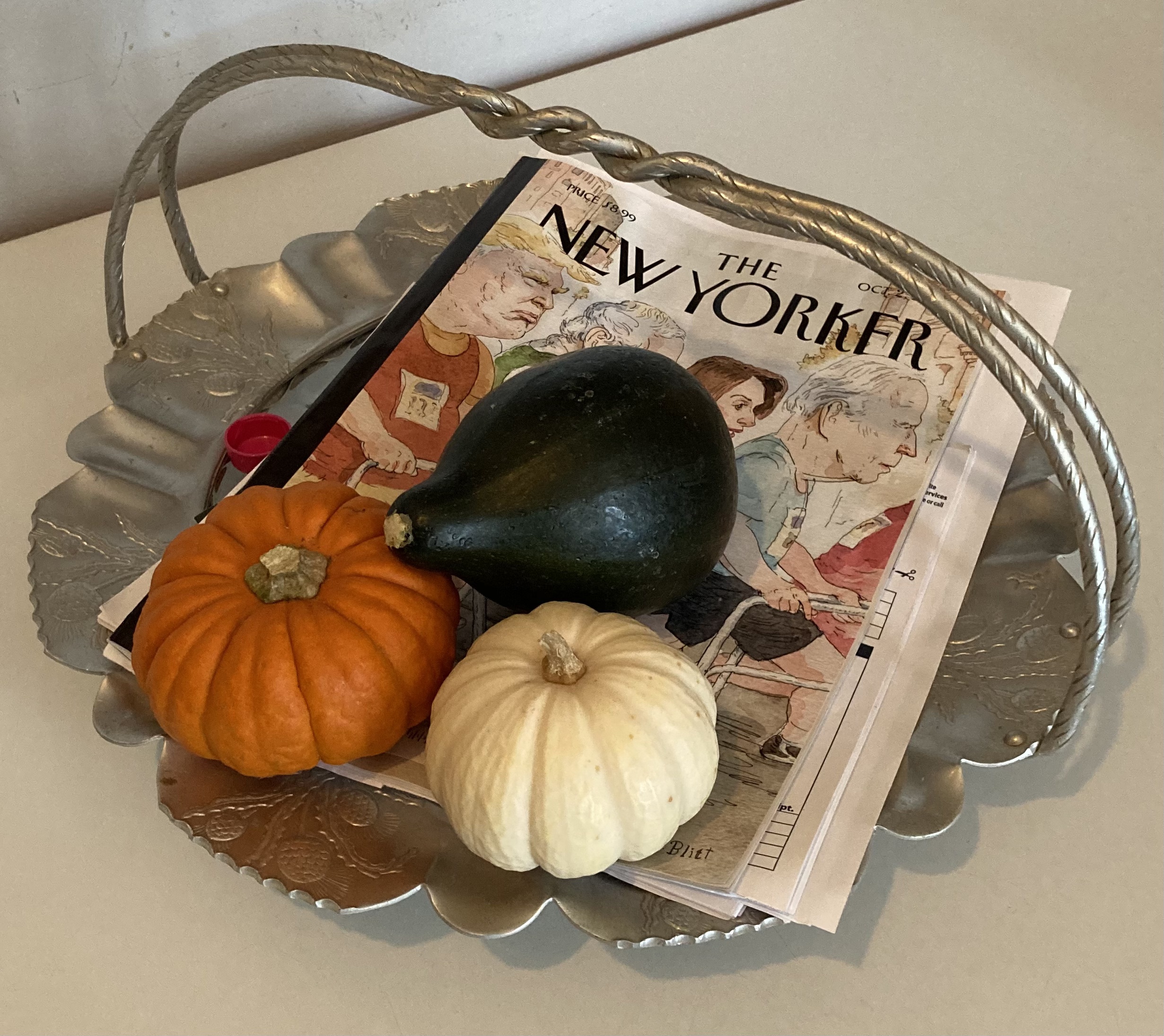 GOURDS! | Matthew Groff