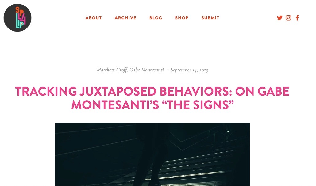 My Review of Gabe Montesanti’s “The Signs” in Split Lip Magazine